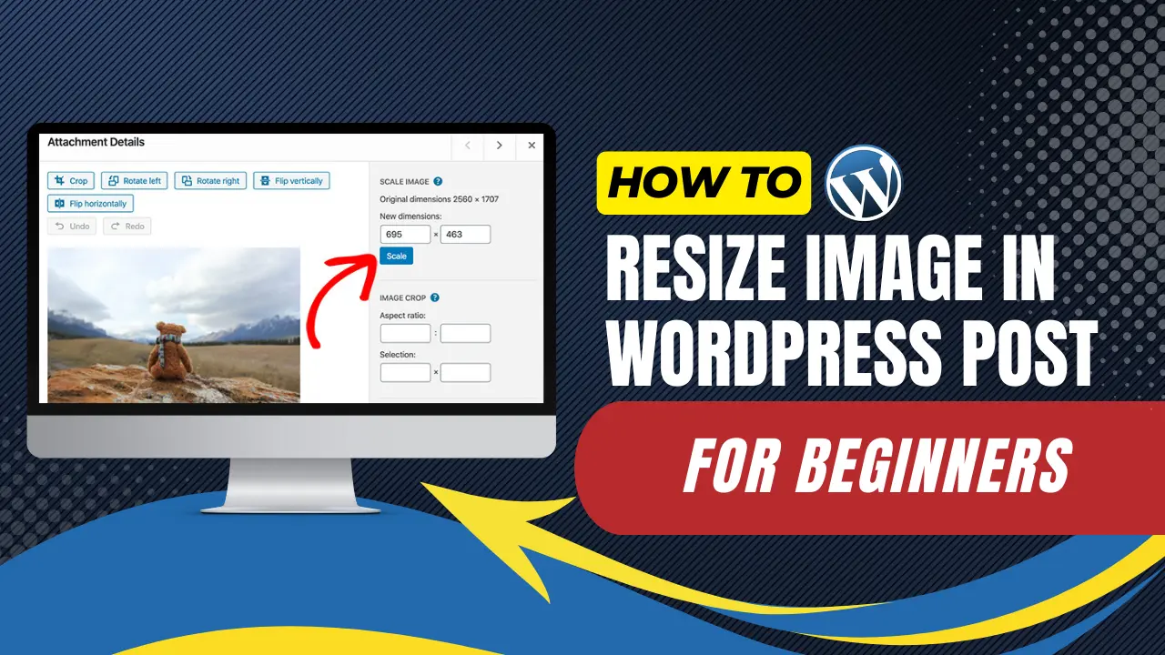 How To Resize Image In WordPress Post